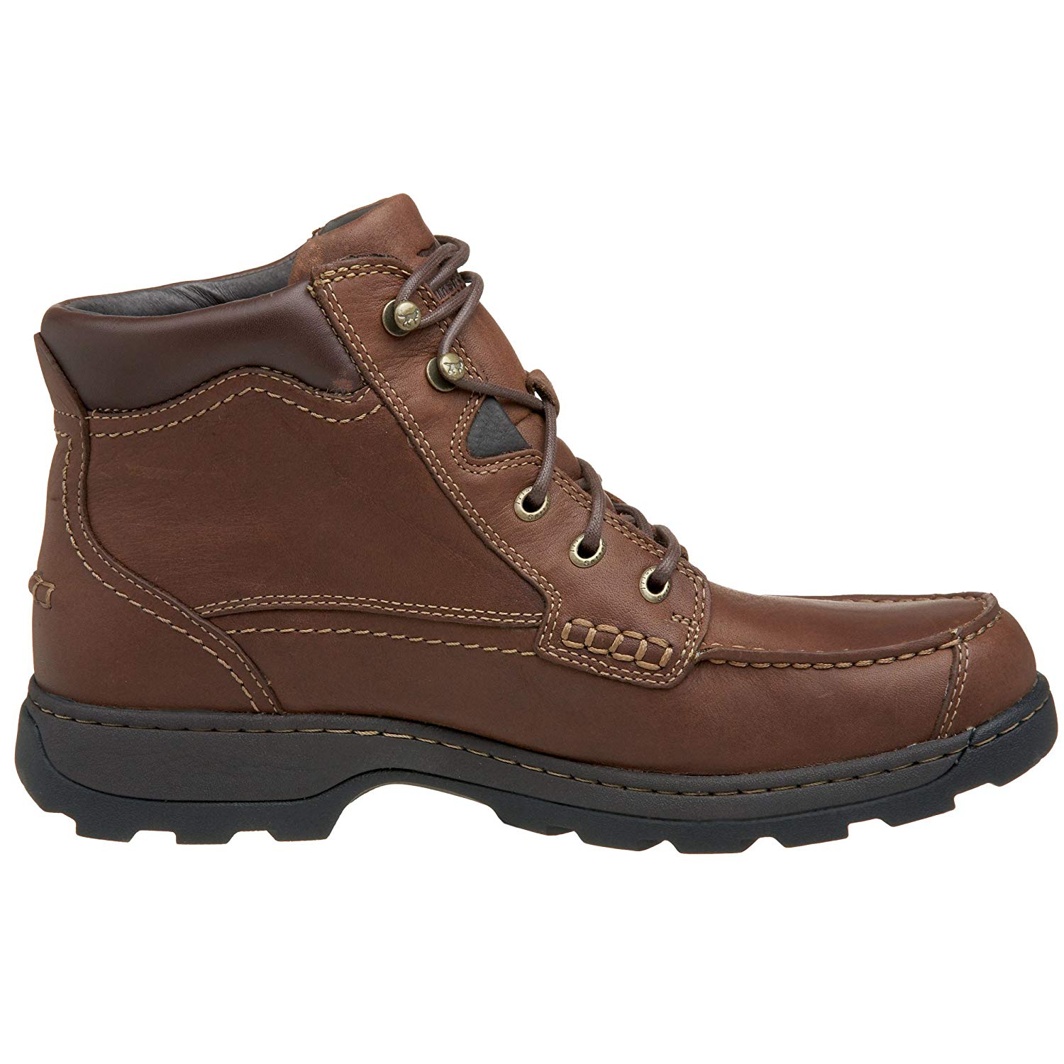 Irish Setter 3875