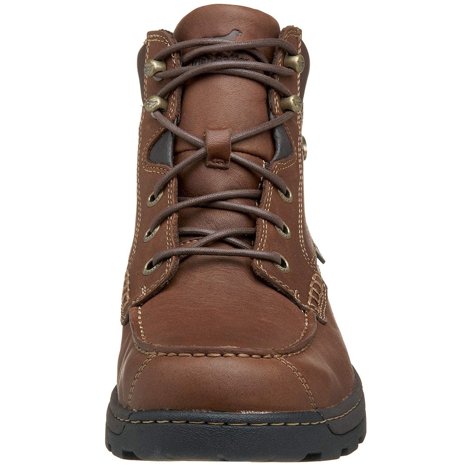 Irish Setter 3875