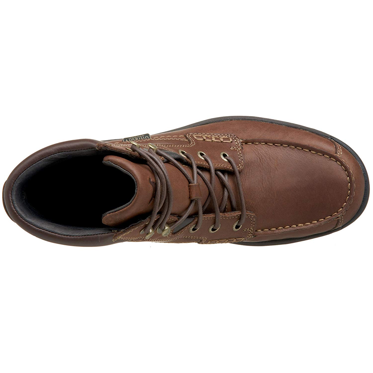 Irish Setter 3875