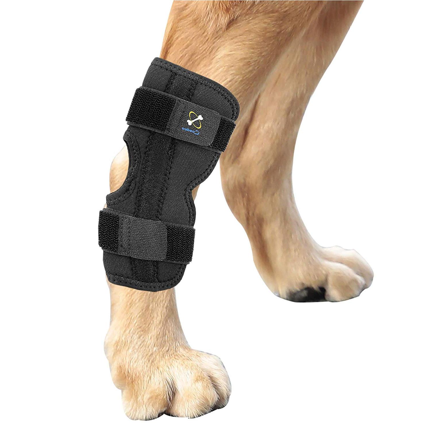 Powerful Dog Canine Rear Leg Hock Joint Brace With Metal No Color Powerful Dog Canine Rear Leg Hock Joint Brace With Metal No Color
