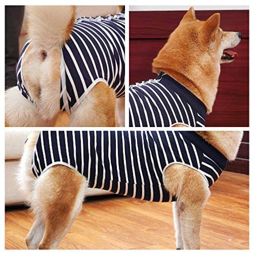 Rabbit Food Dog Recovery Suit – Post-Surgery Vest For Dogs & Cats ...